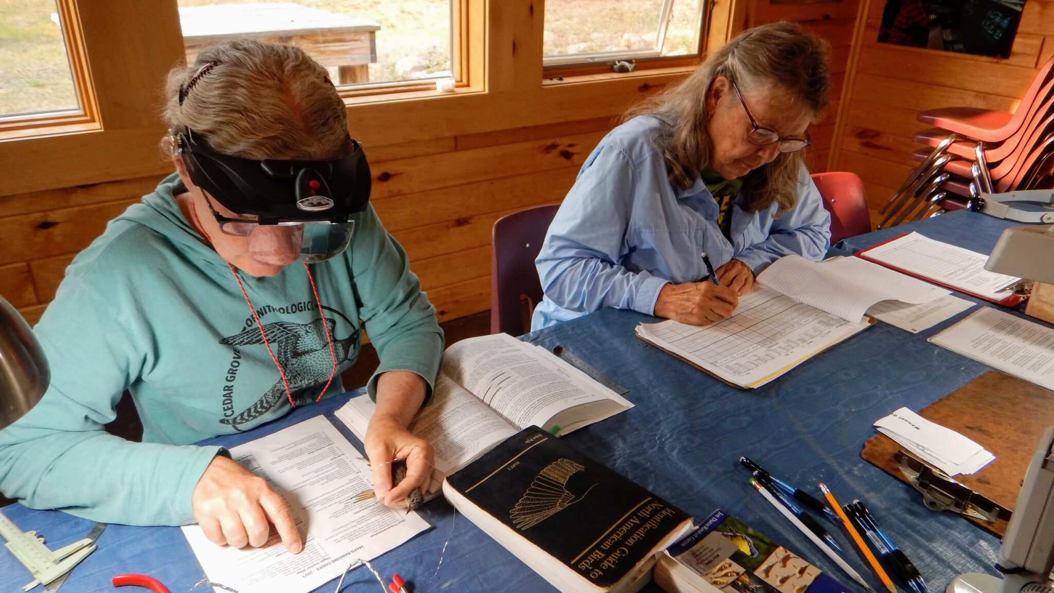 Wolf Ridge Environmental Learning Center