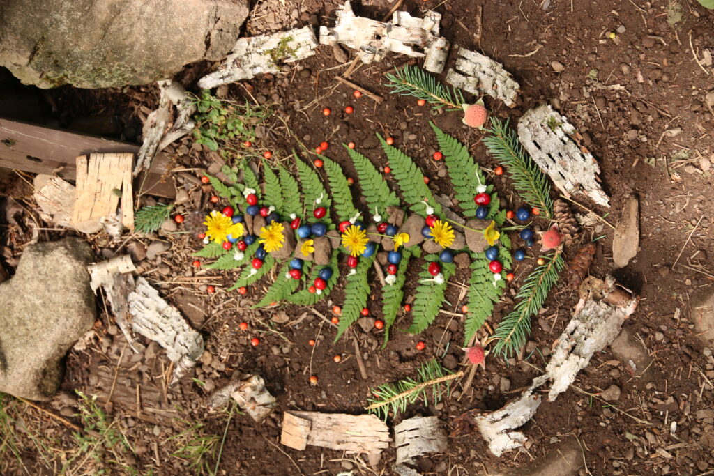 Welcome Wolf Ridge 2022 Graduate Naturalists