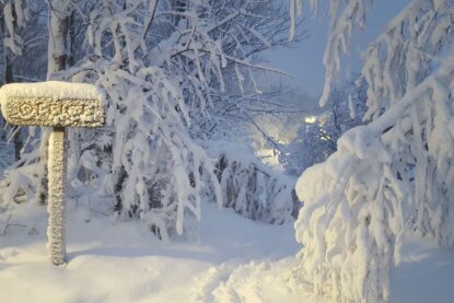 Lifelong Learning Experiences in Nature - Wolf Ridge