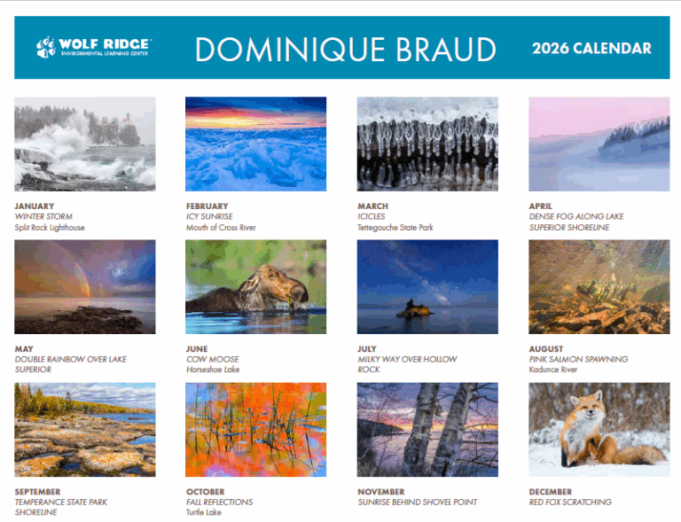 Buy 2026 Wolf Ridge ELC Calendars - Dominique Braud