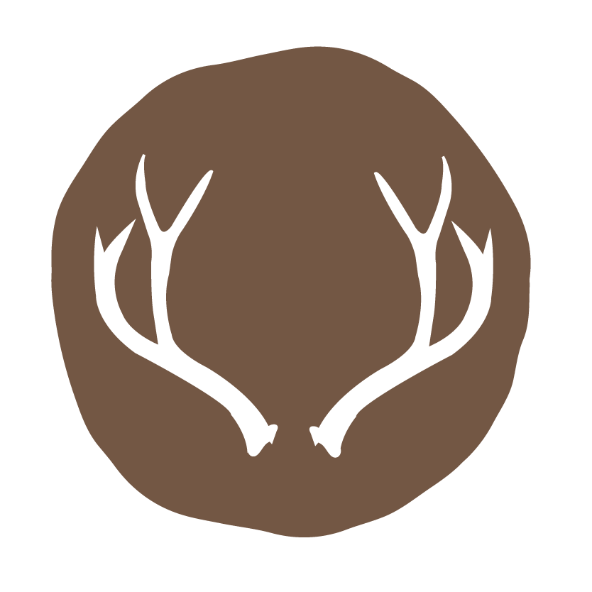 Animal Ecology | Animal Signs | Wolf Ridge